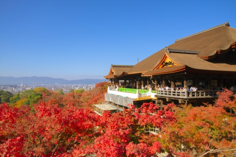 Unique Experiences You Can Only Have in Japan | MeloMeloTours