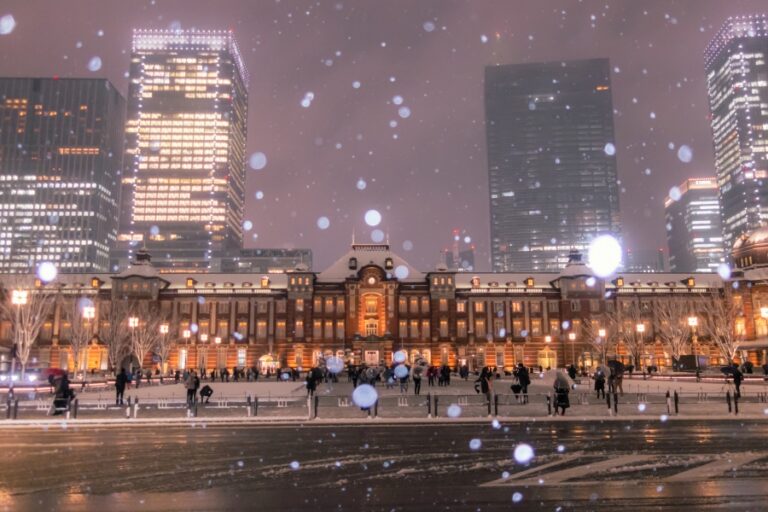 Does It Snow in Tokyo? – A Practical Guide for Winter Travelers ...